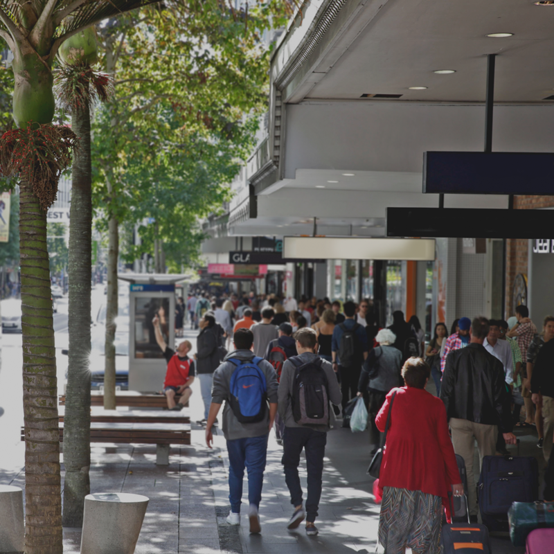 Watchlist – Urban Auckland